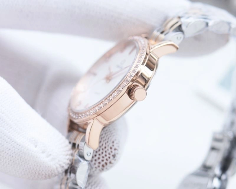 Indistinguishable OMEGA Watches