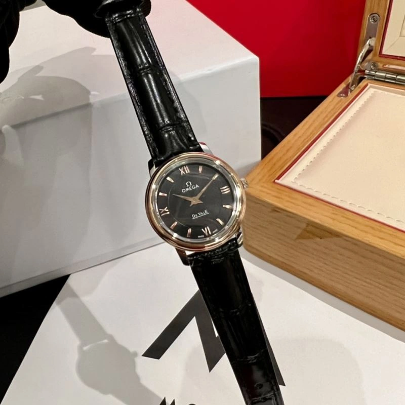 Budget-friendly OMEGA Watches
