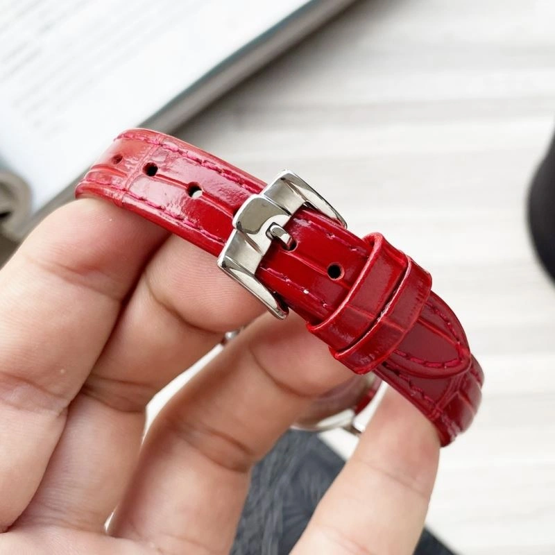 Indistinguishable OMEGA Watches