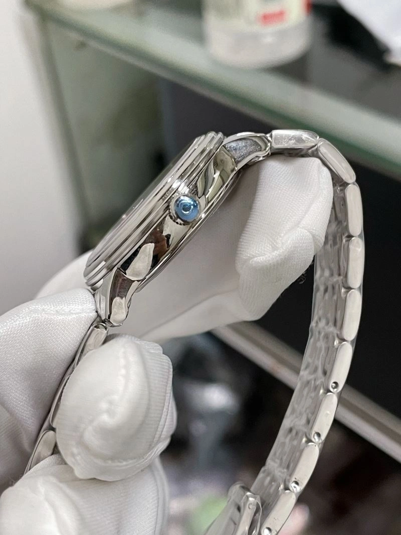 Indistinguishable OMEGA Watches