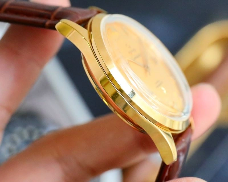 Indistinguishable OMEGA Watches