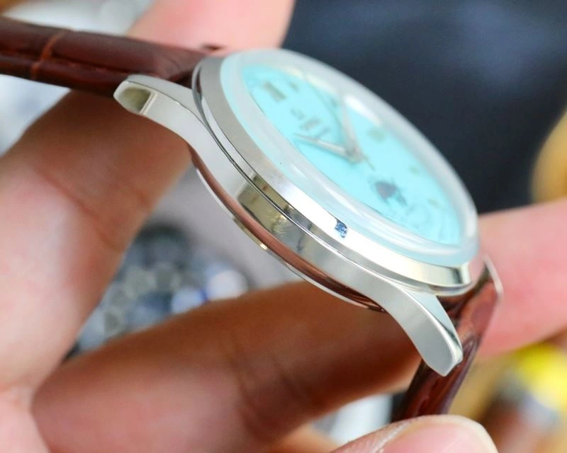 Indistinguishable OMEGA Watches
