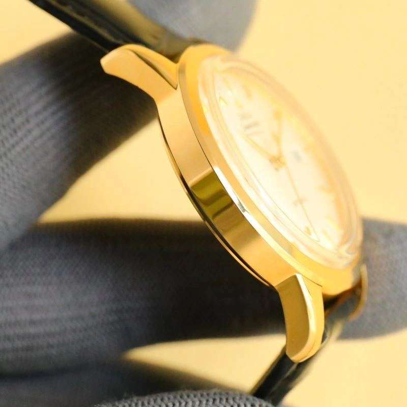 Indistinguishable OMEGA Watches