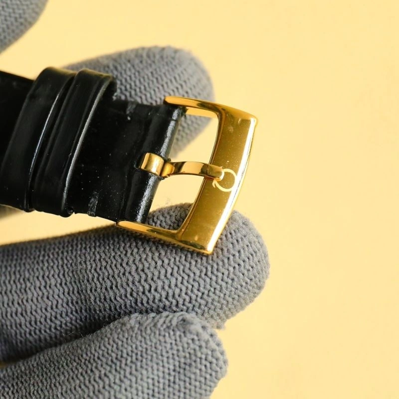 Indistinguishable OMEGA Watches