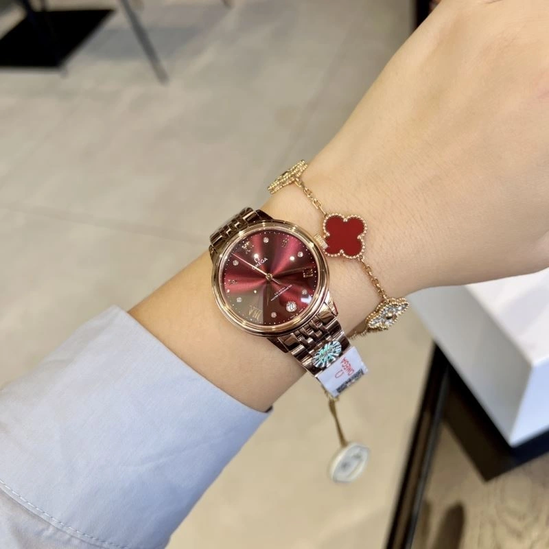 Brand-original OMEGA Watches