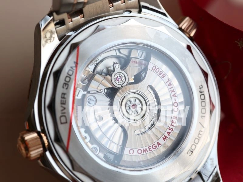 Indistinguishable OMEGA Watches