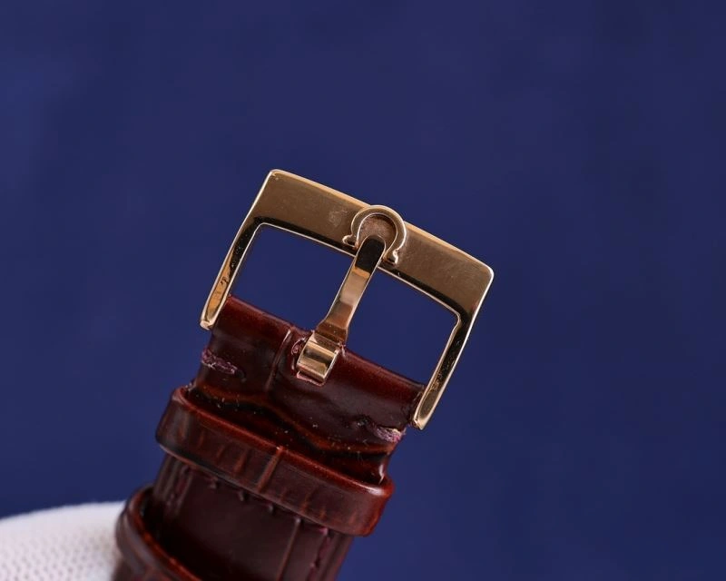 Real OMEGA Watches