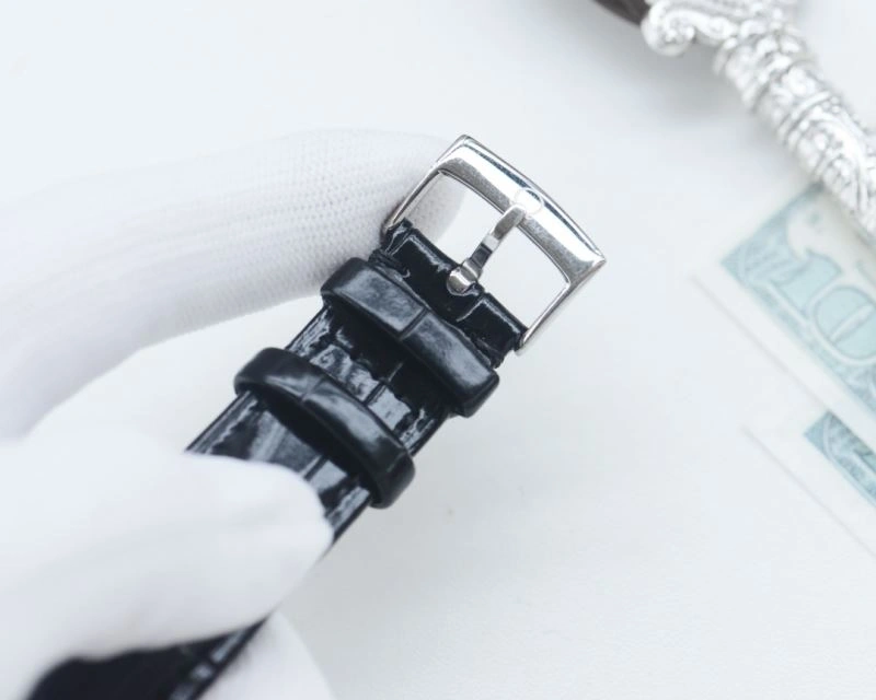Indistinguishable OMEGA Watches