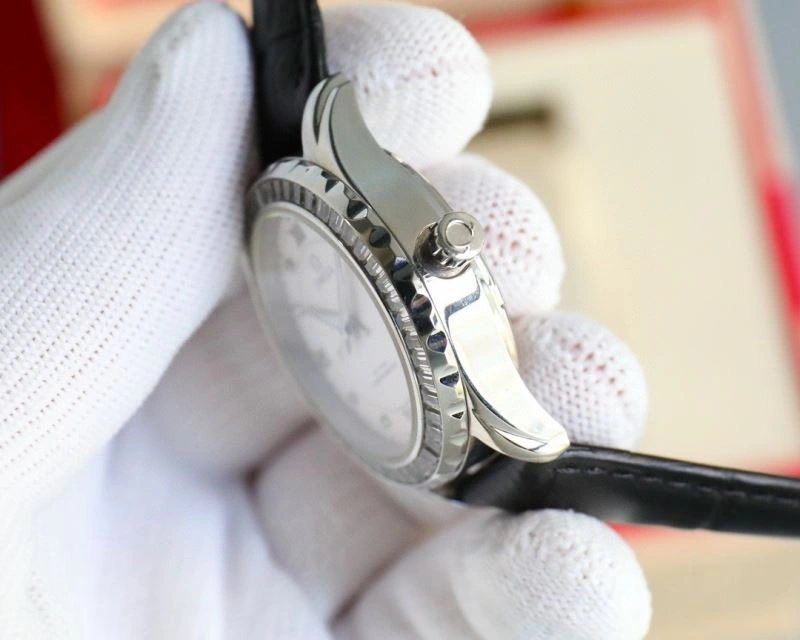 Real OMEGA Watches