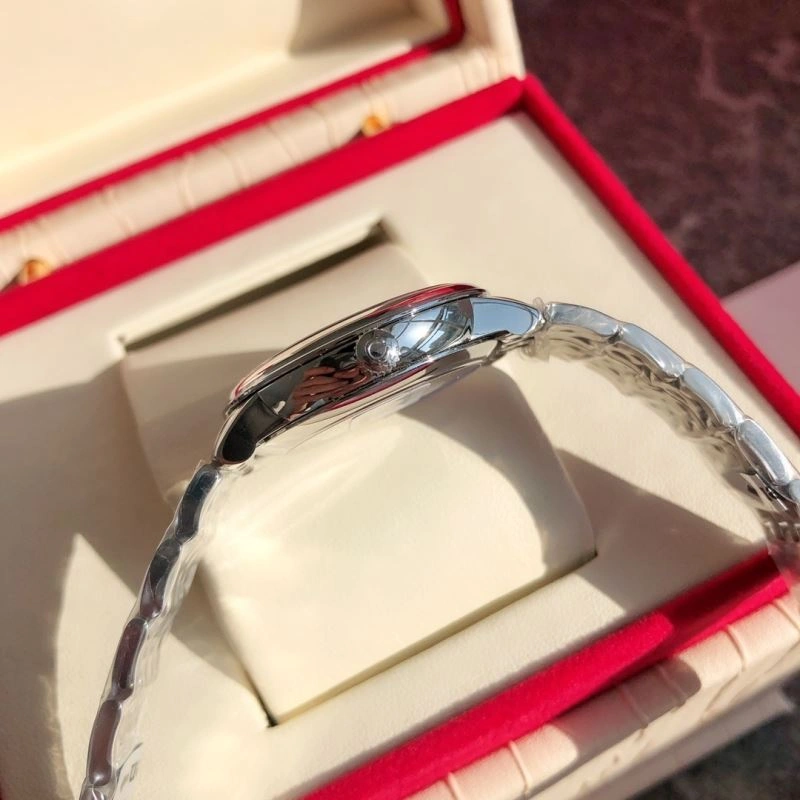 Indistinguishable OMEGA Watches
