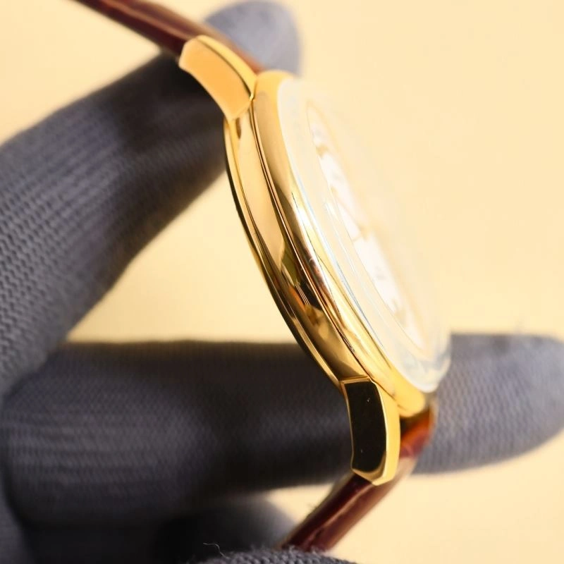 Indistinguishable OMEGA Watches