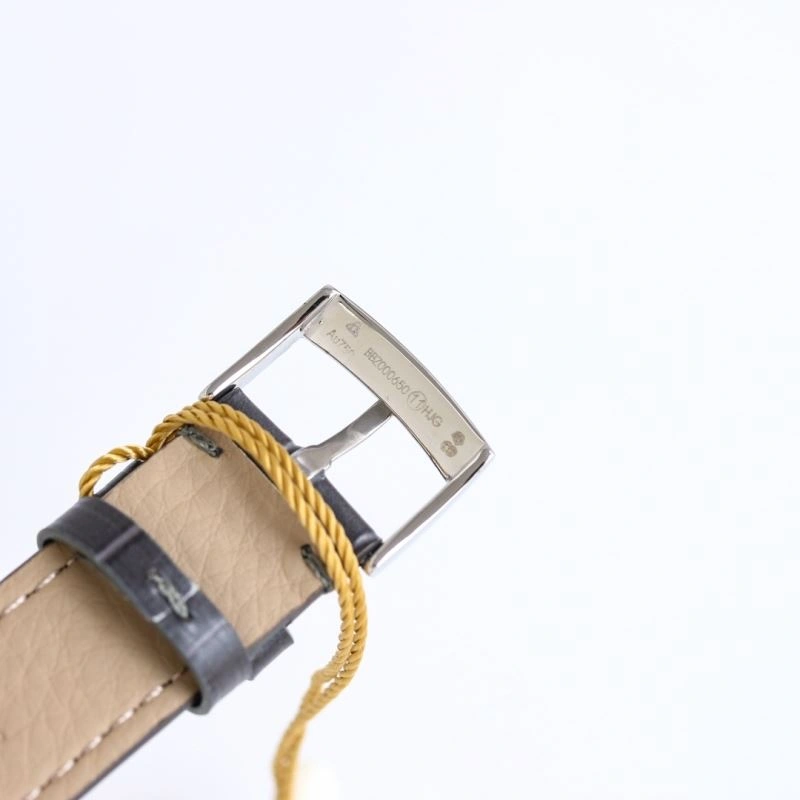 Real OMEGA Watches