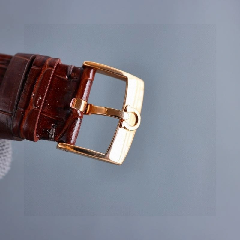 Brand-authenticated OMEGA Watches
