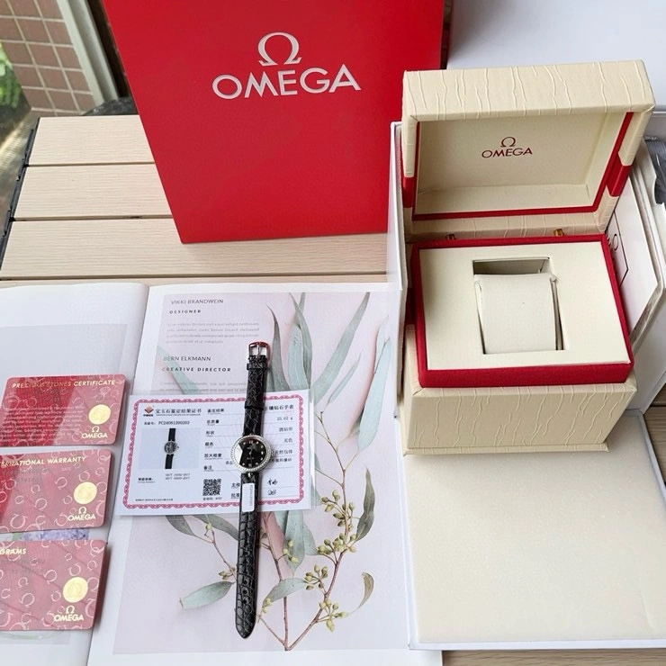Budget-friendly OMEGA Watches