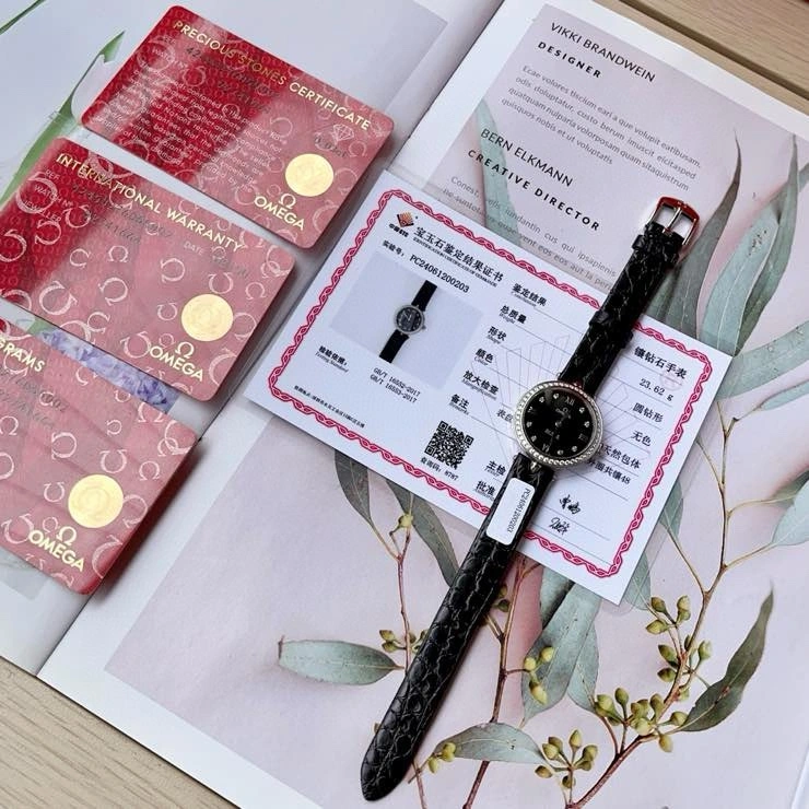 Budget-friendly OMEGA Watches