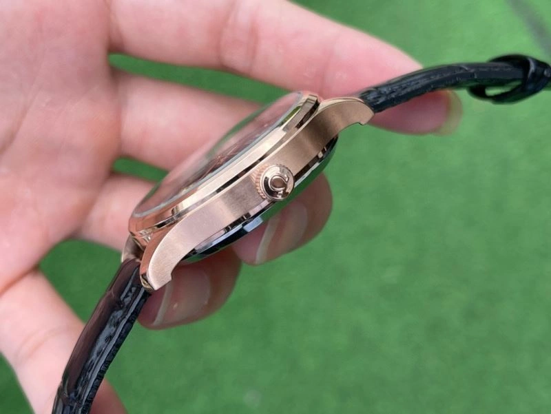Indistinguishable OMEGA Watches
