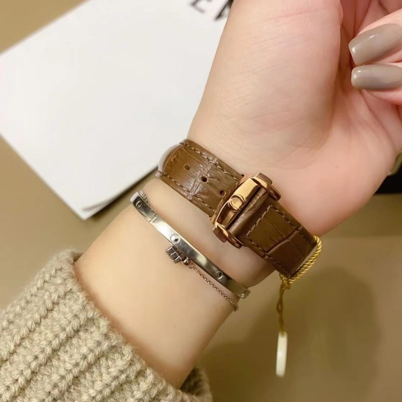 Budget-friendly OMEGA Watches