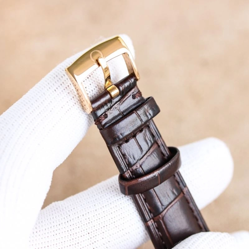 Indistinguishable OMEGA Watches