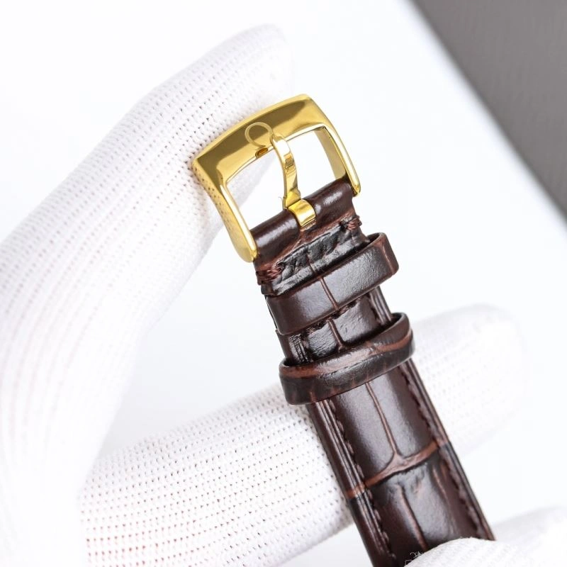 Budget-friendly OMEGA Watches