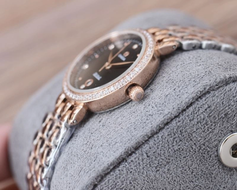Indistinguishable OMEGA Watches