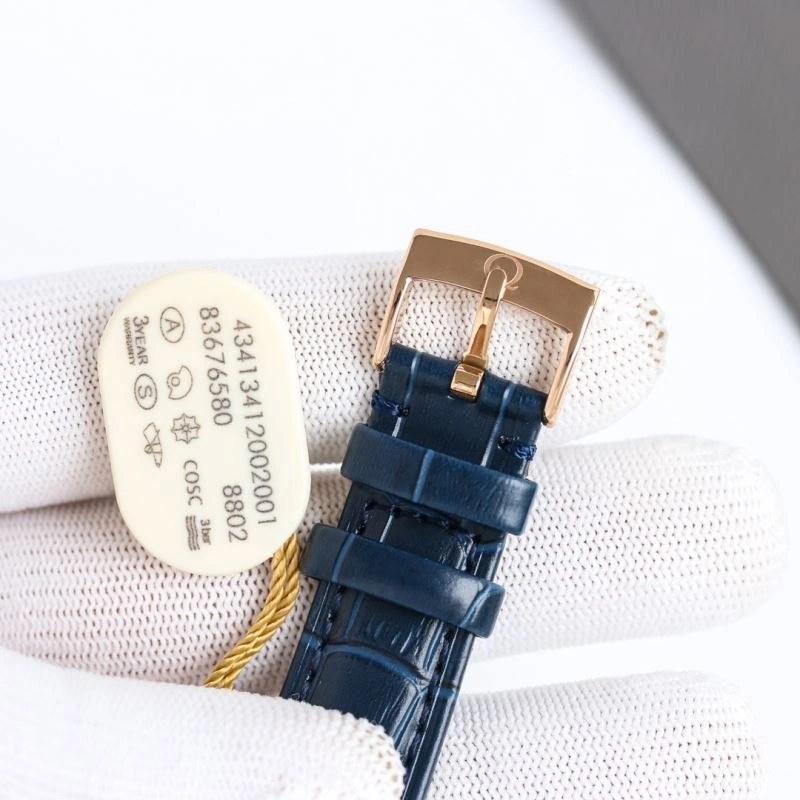 Indistinguishable OMEGA Watches