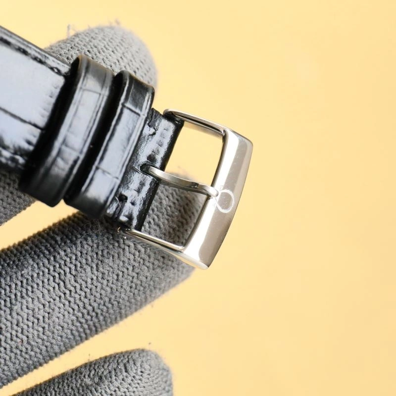 Budget-friendly OMEGA Watches