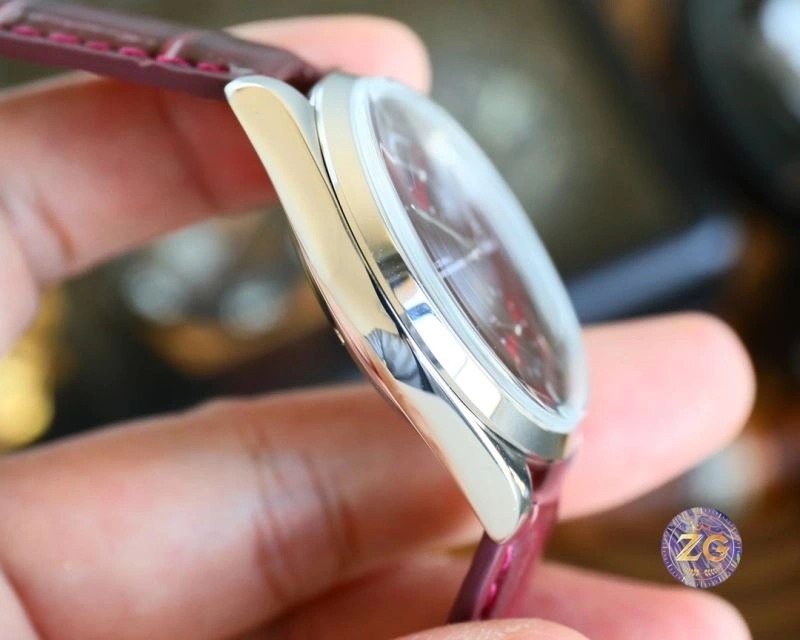Indistinguishable OMEGA Watches