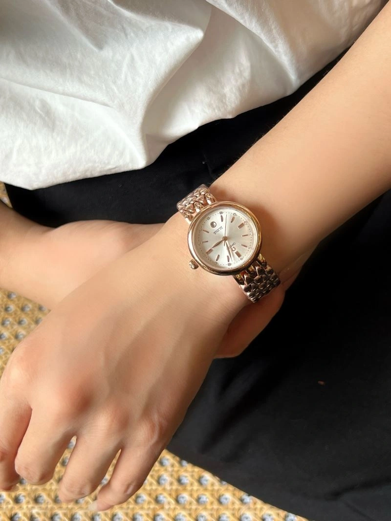 Budget-friendly OMEGA Watches