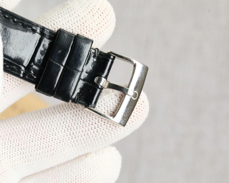 Indistinguishable OMEGA Watches