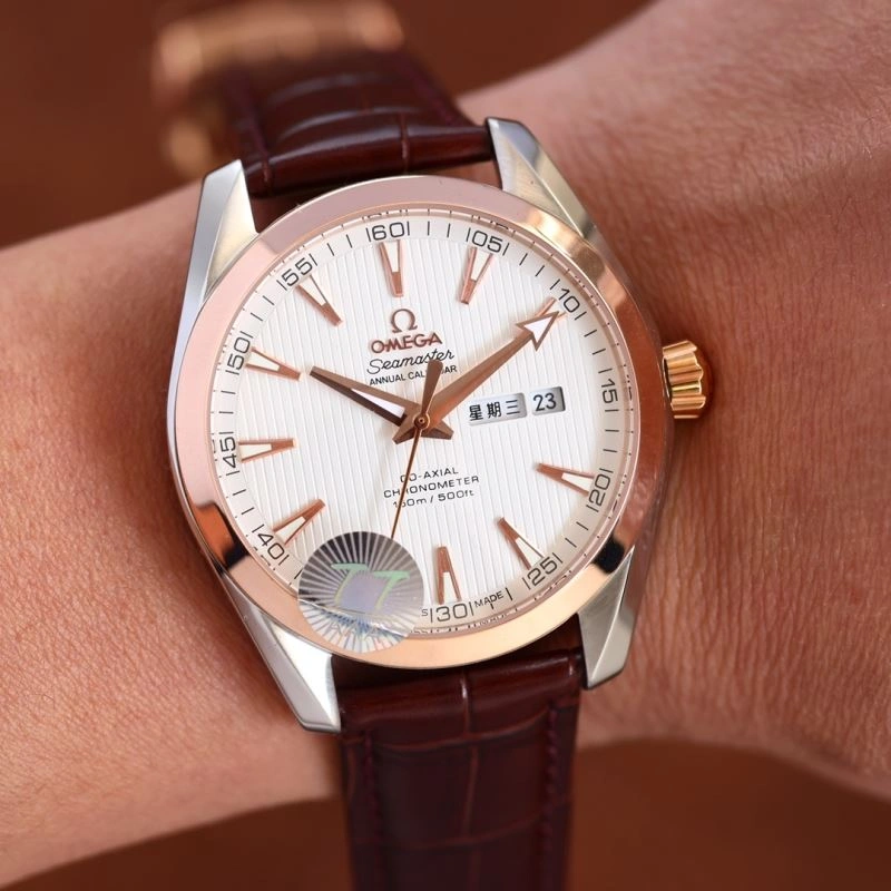 Budget-friendly OMEGA Watches