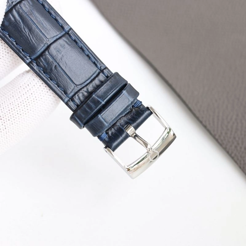Indistinguishable OMEGA Watches