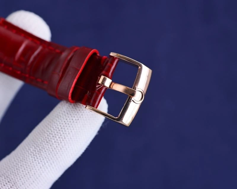 Indistinguishable OMEGA Watches