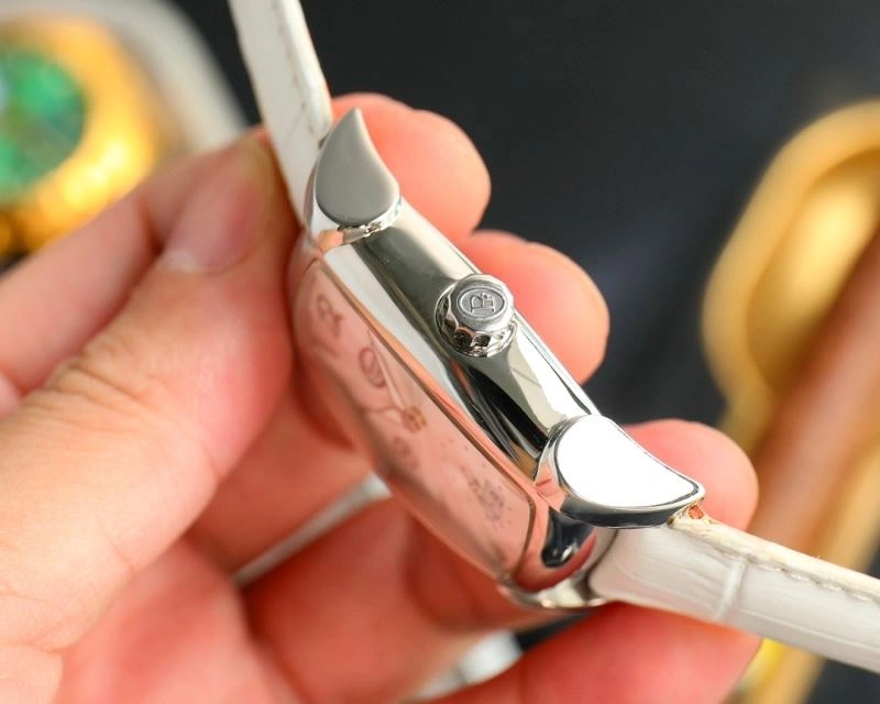 Genuine PARMIGIANI Watches