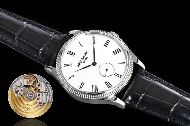 High fidelity PATEK PHILIPPE Watches