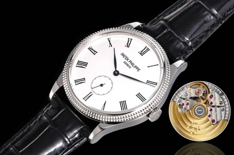 High fidelity PATEK PHILIPPE Watches