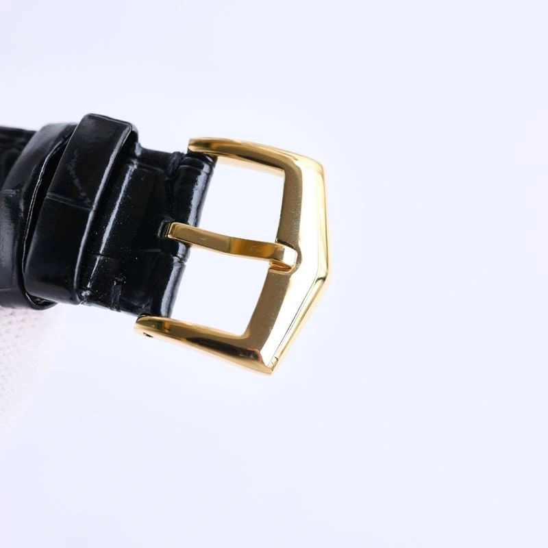 Top match PATEK PHILIPPE Watches