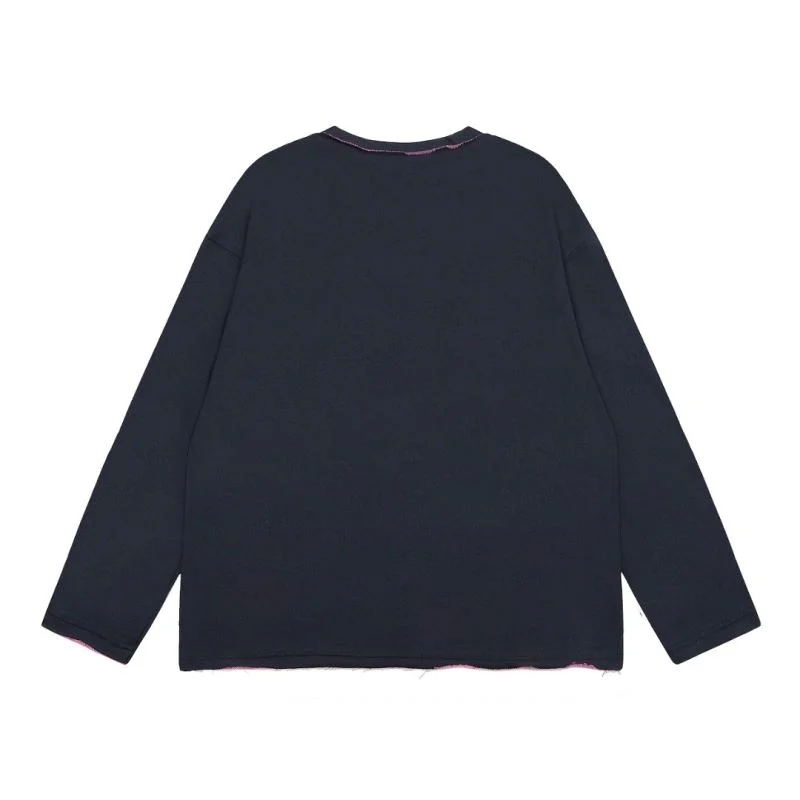 Exact replica Polo Hoodies