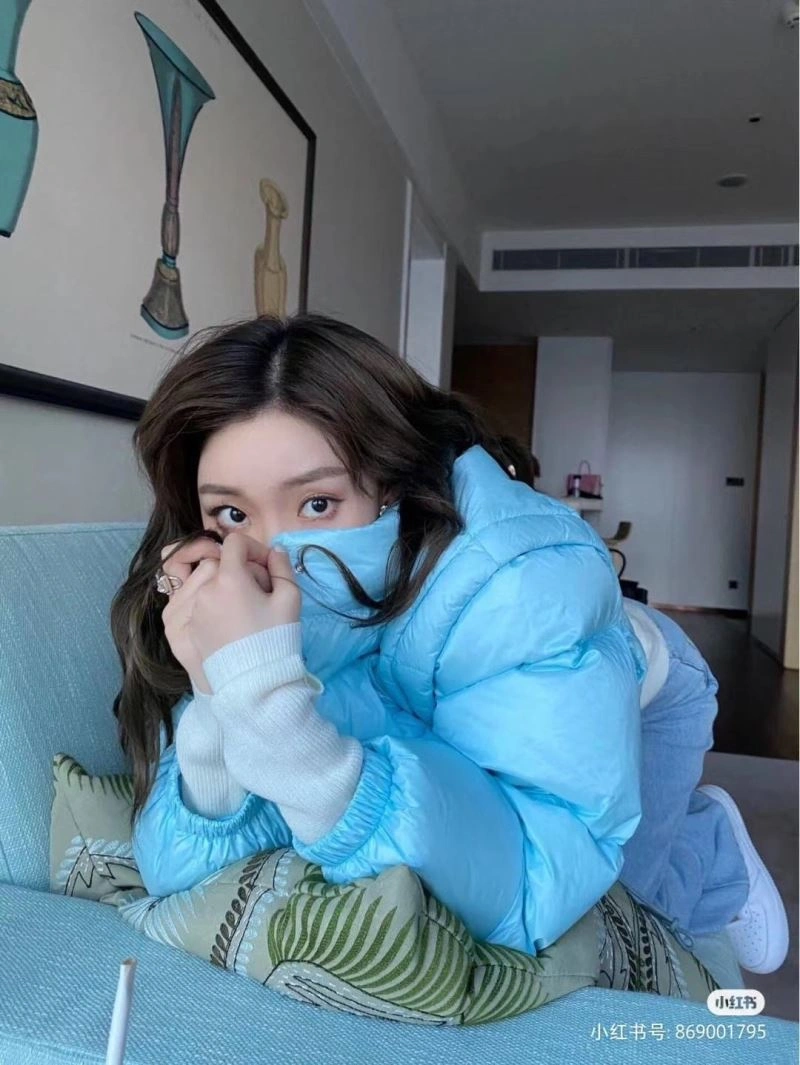 High fidelity Prada Down Jackets