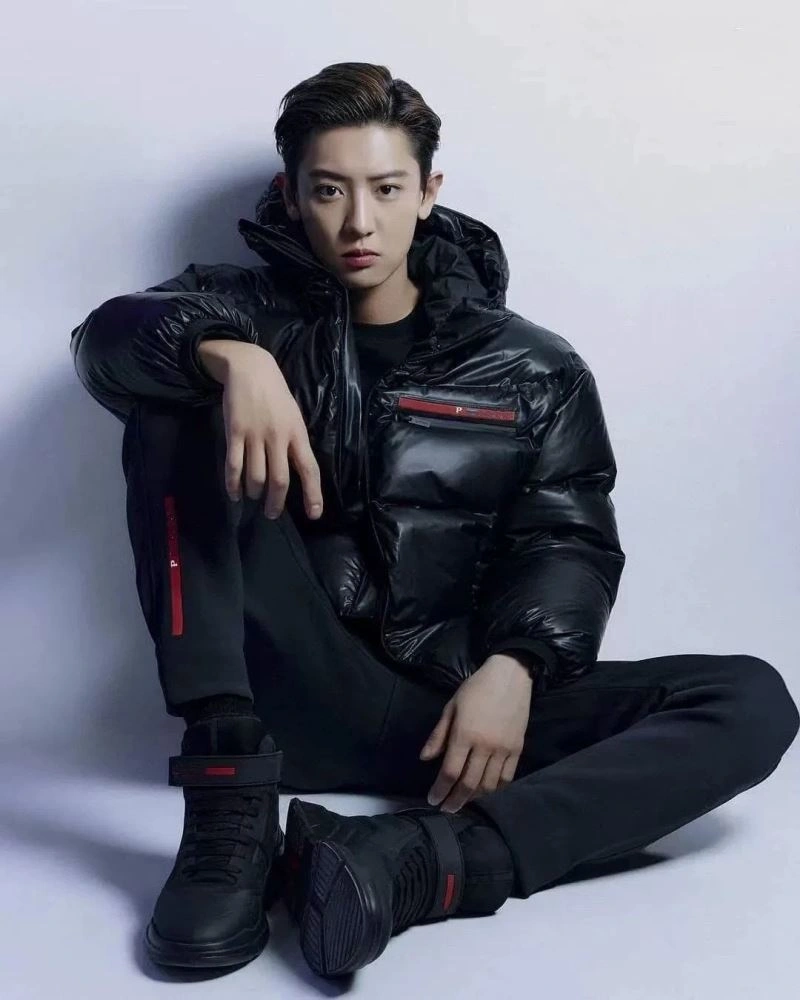 Brand-original Prada Down Jackets