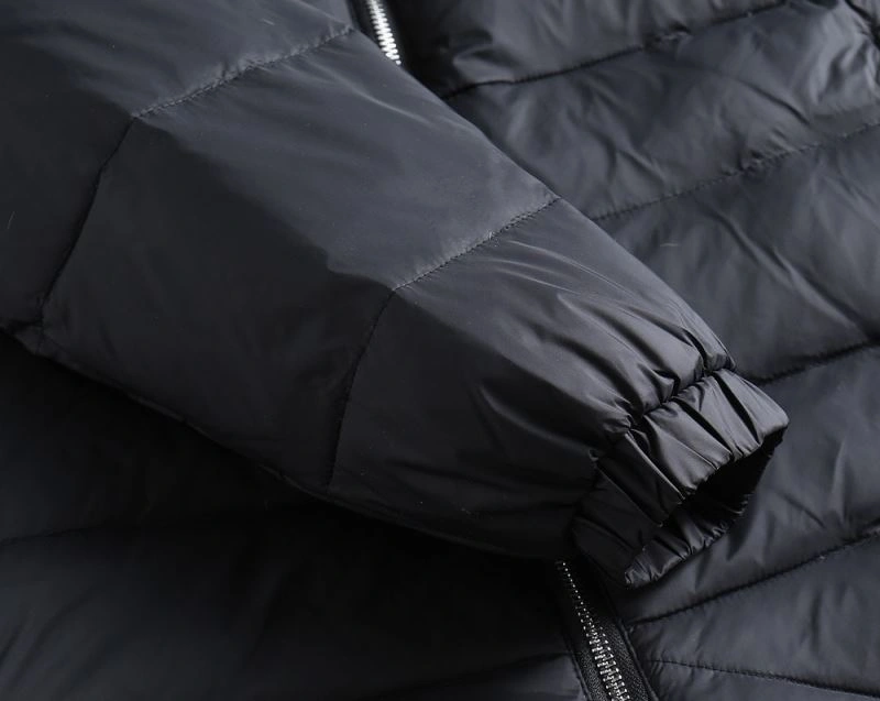 High accuracy Prada Down Jackets