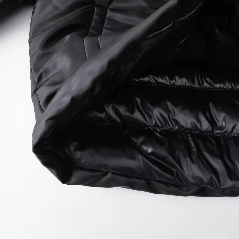 Exact replica Prada Down Jackets