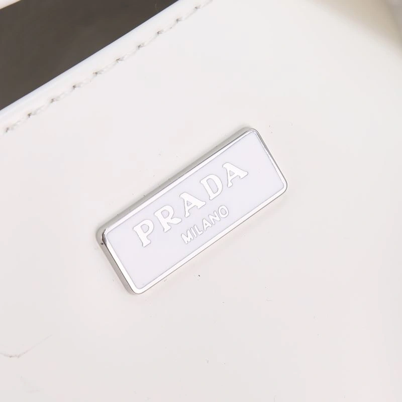 Accurate model Prada Hobo Bags