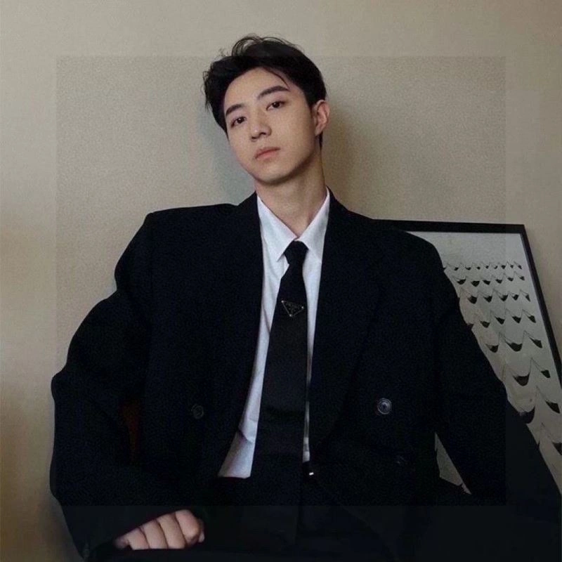 Accurate model Prada Neckties