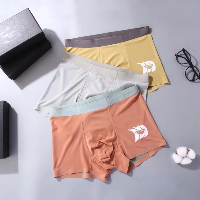 Indistinguishable Prada Underwear