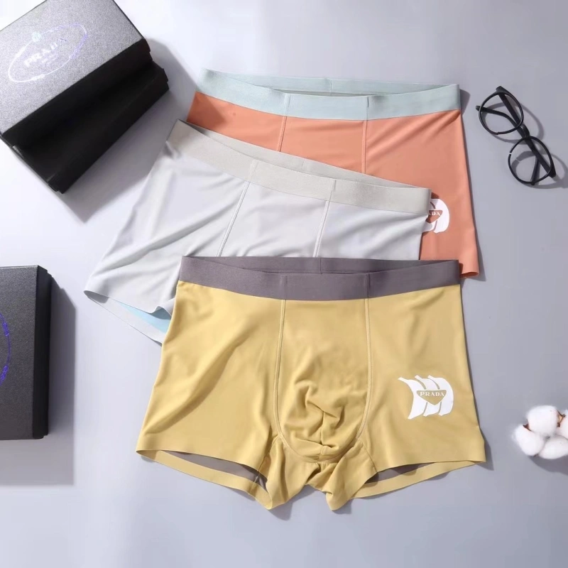 Indistinguishable Prada Underwear