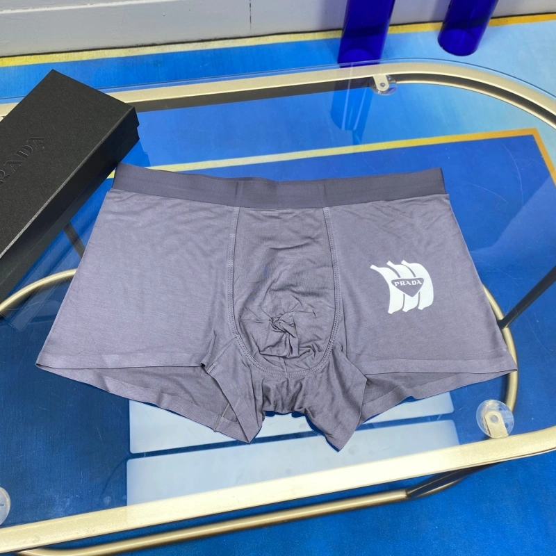 High fidelity Prada Underwear