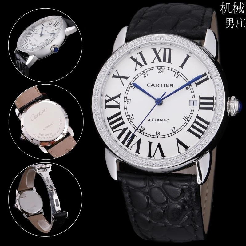 Real ROGER DUBUIS Watches