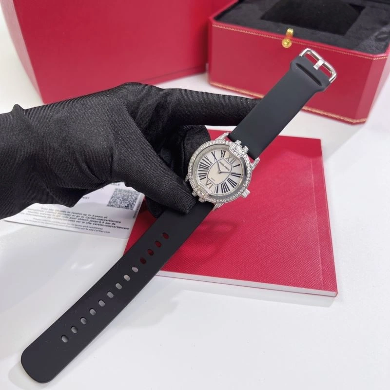 Factory-made ROGER DUBUIS Watches