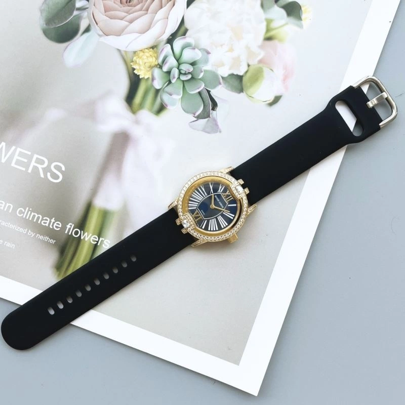 Top match ROGER DUBUIS Watches