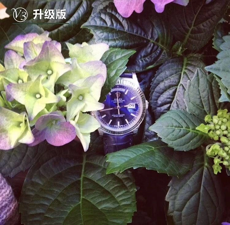 Top mirror ROLEX Watches